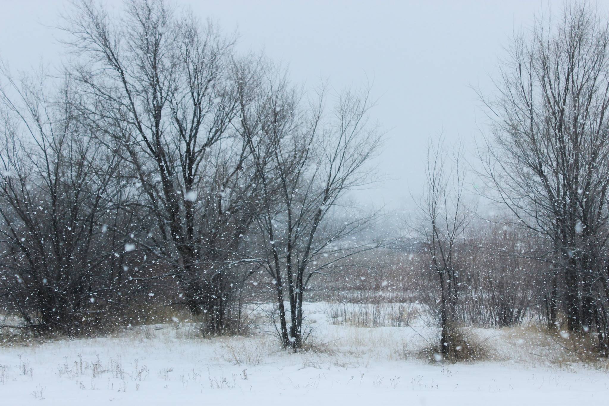 Winter’s first snowfall… in summer. – Ingalls Weather