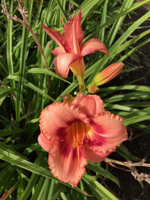 Saturday, Sept 14, 2019-South West Michigan-Sunny Sixties For Us Today ...