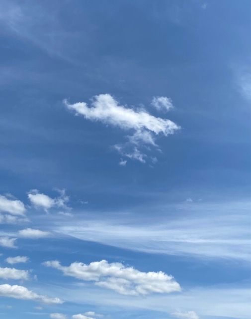 Tuesday, August 3, 2021-SW Michigan-Enjoy The Summer Sunshine – Murphy ...